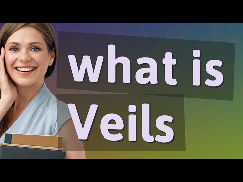 Veils | meaning of Veils