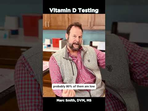 Low Vitamin D Levels Lead to Dog Arthritis by Marc Smith, DVM, MS