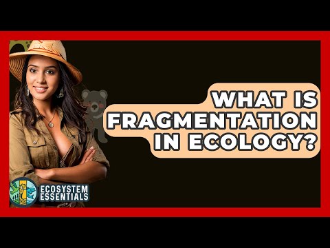 What Is Fragmentation In Ecology? - Ecosystem Essentials
