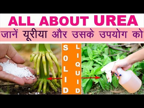 Urea - Urea Fertilizer Latest Price, Manufacturers & Suppliers