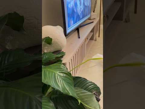Stylish TV Stand Upgrade for Your Living Room #tvstand