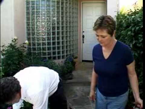 Baby back ribs with Steven Raichlen, Part 2 - 2008-10-01