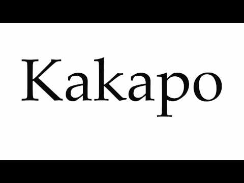 How to Pronounce Kakapo