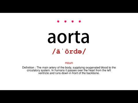 How to pronounce aorta - Vocab Today