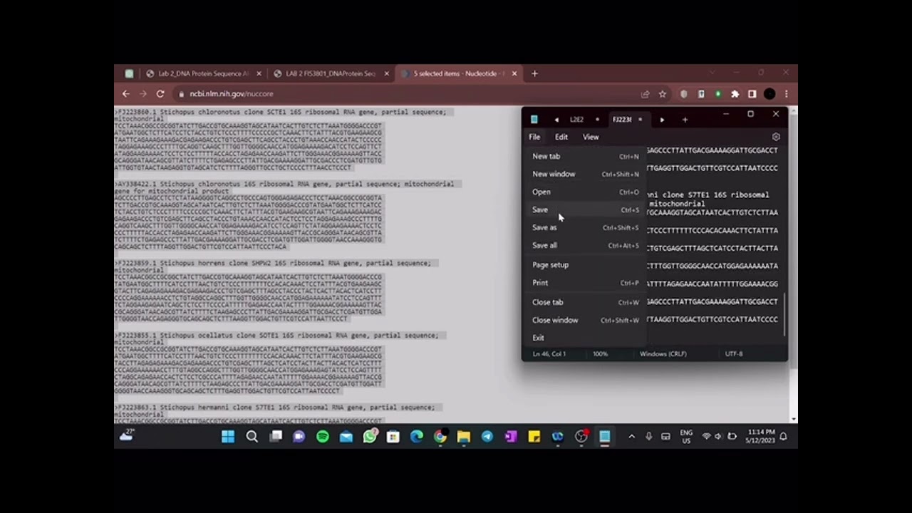 LAB REPORT 2 (EXERCISE 1) - FIS3083