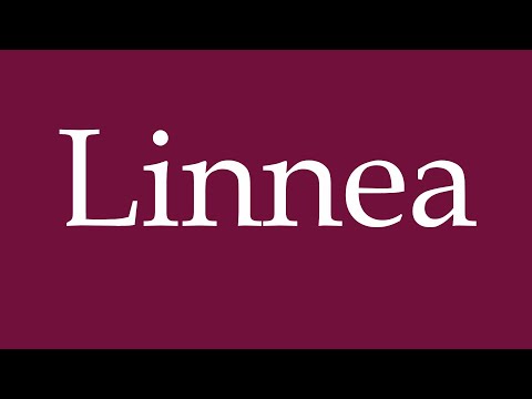 How to Pronounce ''Linnea'' Correctly in German
