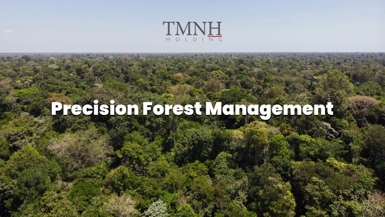 Precision Forest Management