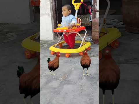 Ku du ku || Chicken Dance 🔥#shorts #viral #trending