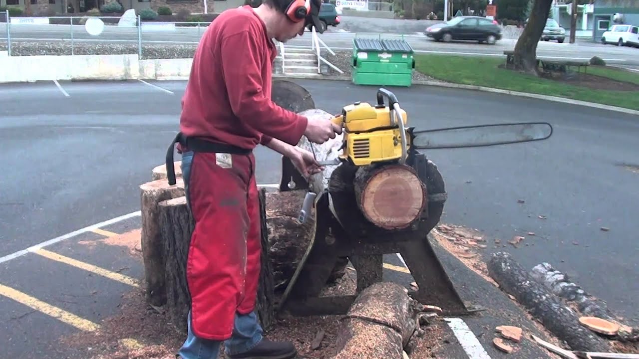 The chainsaw guy log testing McCulloch Pro Mac 800 chainsaw 3 1
