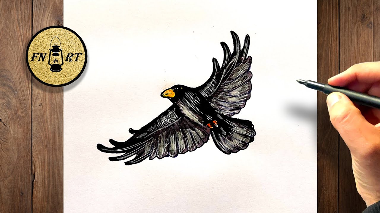 How to draw a Crow Flying easy step by step