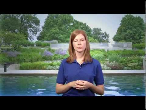 What is a watershed ?