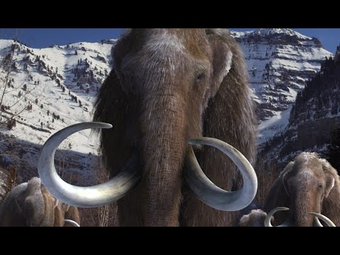 Scientists Identify Woolly Mammoth Genes | Prehistoric… – Scientiflix