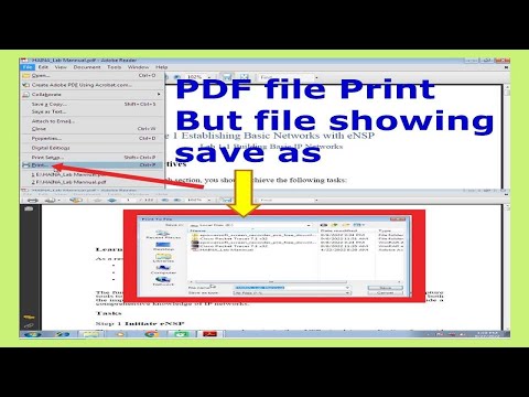 PDF error: the document could not be printed, PDF file print but file showing save as (100 %working)