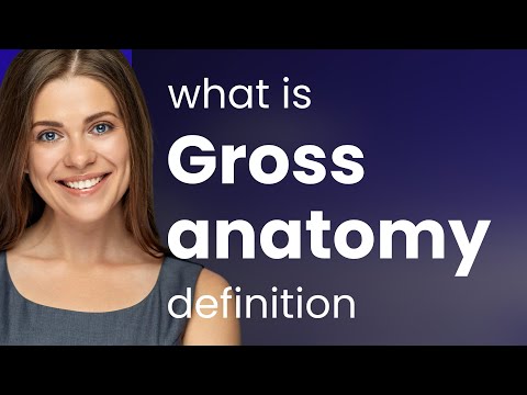 Gross anatomy • what is GROSS ANATOMY meaning