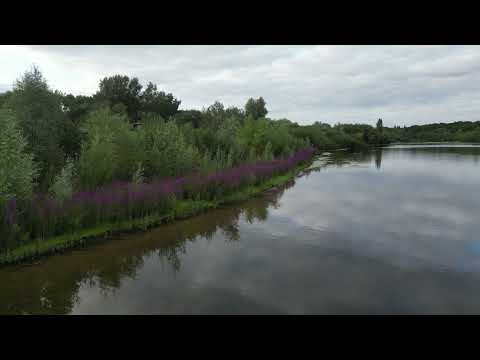 Beach in London (Ruislip Lido)