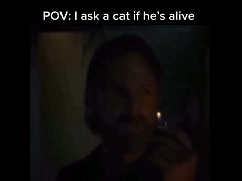 WTHHH Negan is a cat ? #fypシ #twd #memes #catmemes