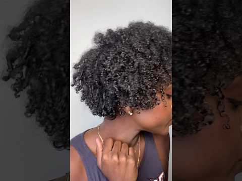 One Product Wash & Go On Heat Damaged Hair π± #naturalhair #washandgo