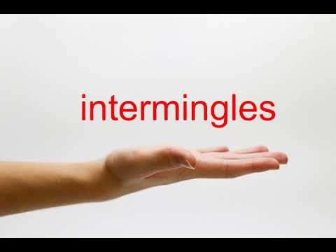 How to Pronounce intermingles - American English
