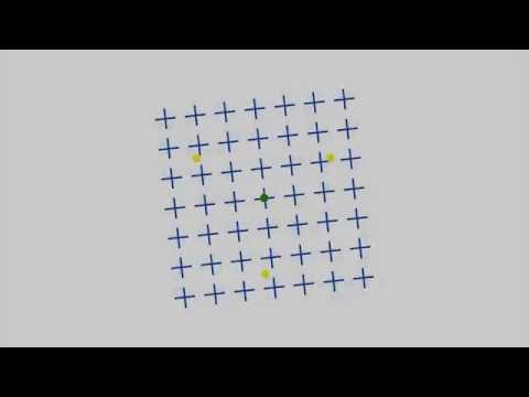 Motion Induced Blindness Illusion Explained with Animation