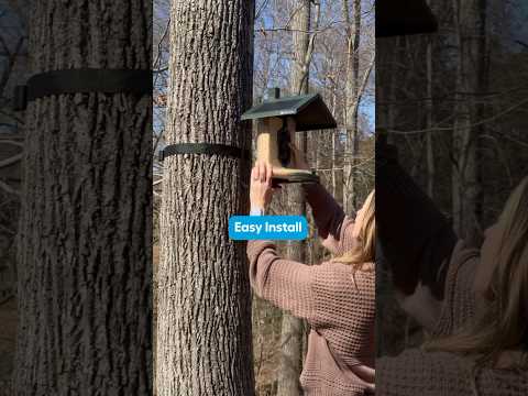 High-Tech Birdwatching with the FeatherSnap Smart Bird Feeder 🦜 #Shorts