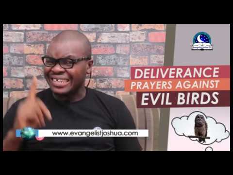 POWERFUL PRAYERS TO DESTROY EVIL BIRDS ATTACKING YOU