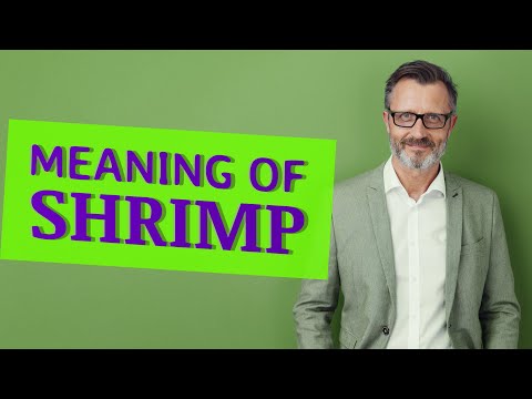 Shrimp | Meaning of shrimp