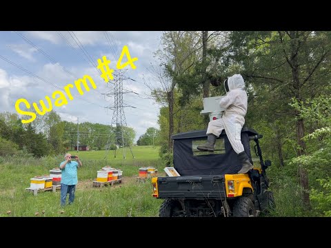 Swarm Number Four of 2024!
