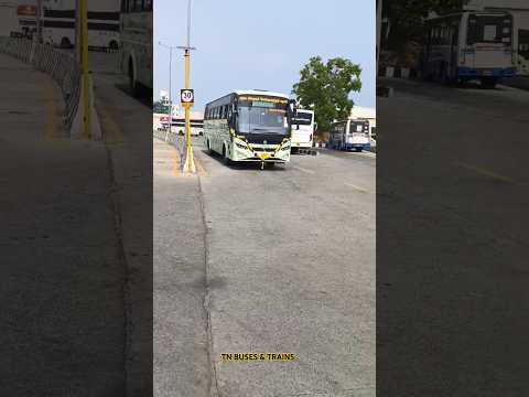 NEW BS6 VEGA BUILT UD COIMBATORE TO TIRUPATHI CBE D509 INAUGRAL #tnstc #setc #trending #viralshort