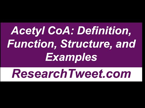 Acetyl CoA: Definition, Function, Structure, and Examples