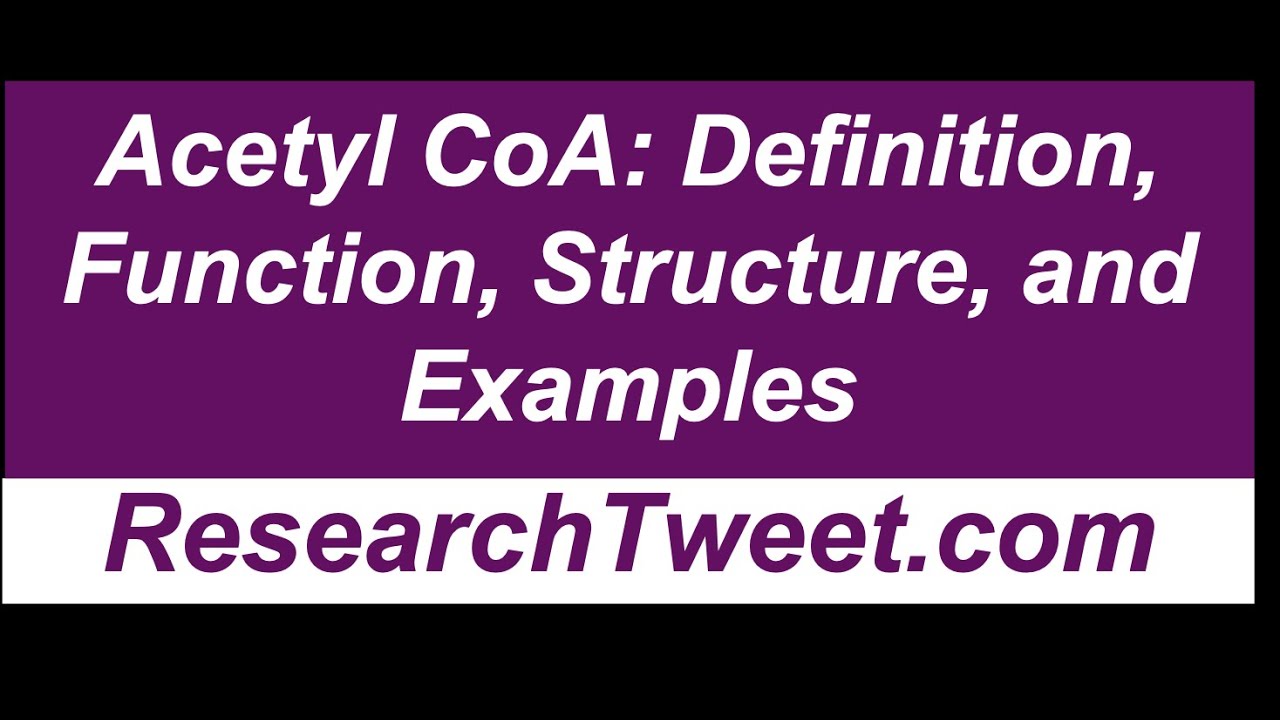 Acetyl CoA: Definition, Function, Structure, and Examples