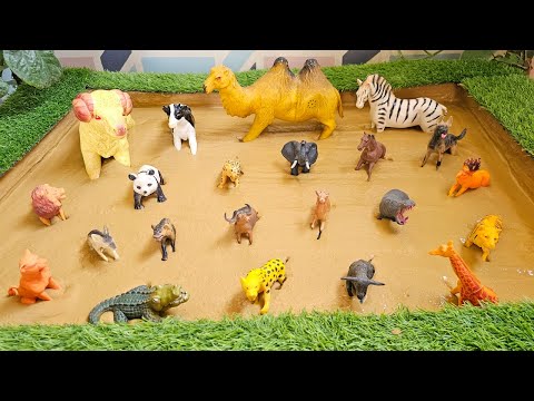 Discover the Mysteries of Farm Desert and Crepuscular Animals!