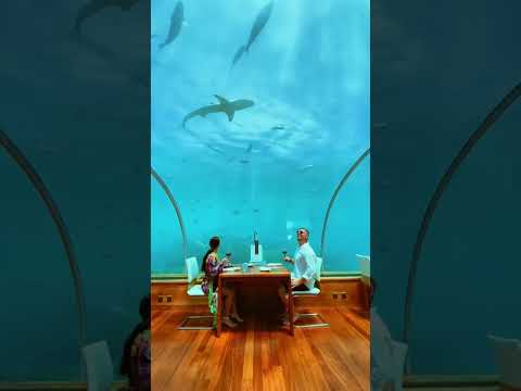 Restaurants that don’t look real #travel #restaurants