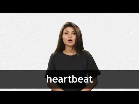HEARTBEAT definition and meaning | Collins English Dictionary