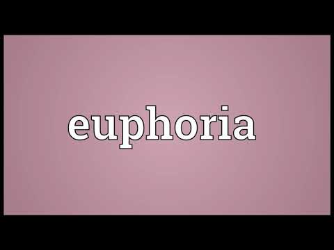 euphoria meaning in English