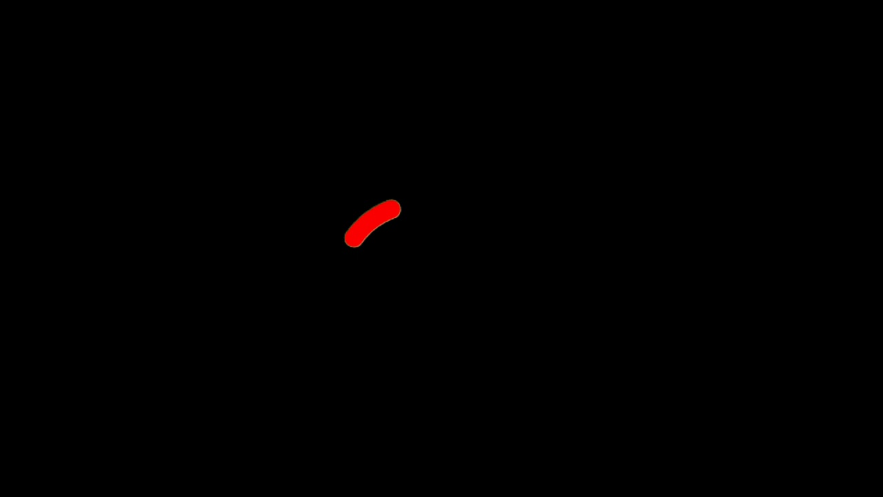 Quick  svg loader animation  effect | CSS animation
