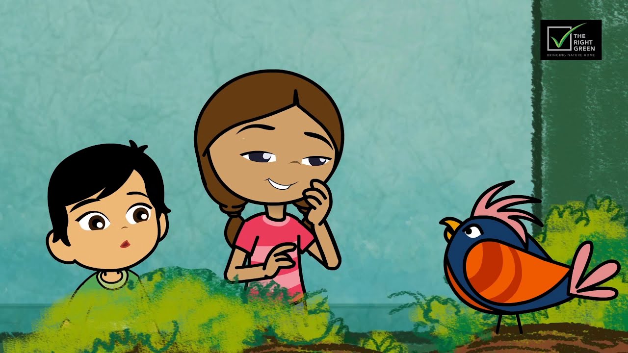 Why Plant Native Trees?