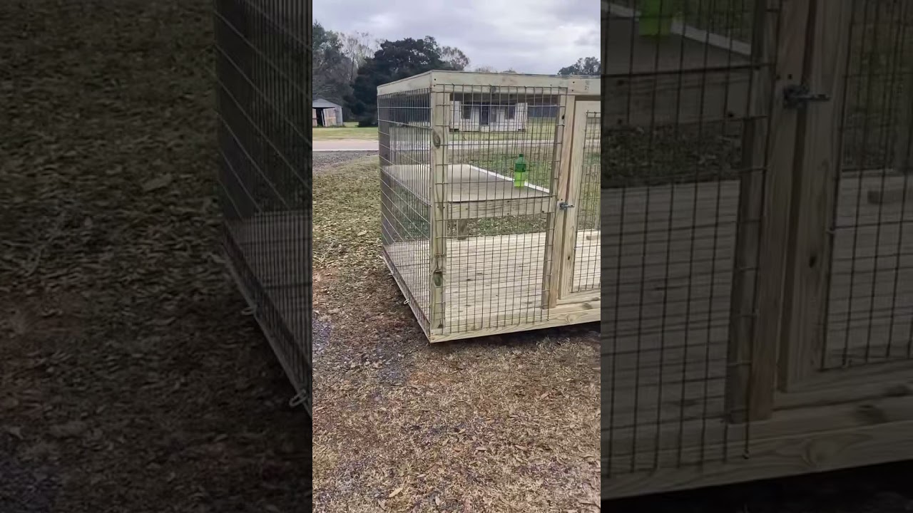 Custom 6x8 wooden dog kennels