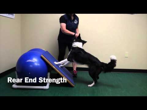 Einblicke in Bobbie Lyons’ Arbeit – Gymnastricks