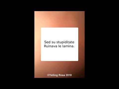 Le ruinate lamina | Yellingrosa Weblog