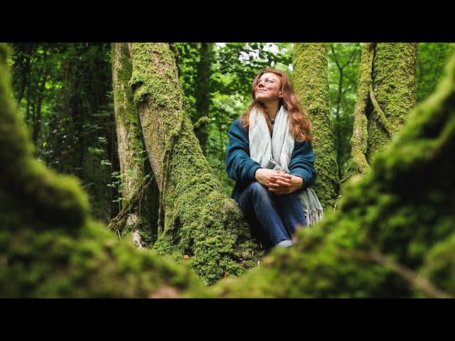 The Transformative Power of Forest Bathing: How Shinrin-Yoku Changed My ...