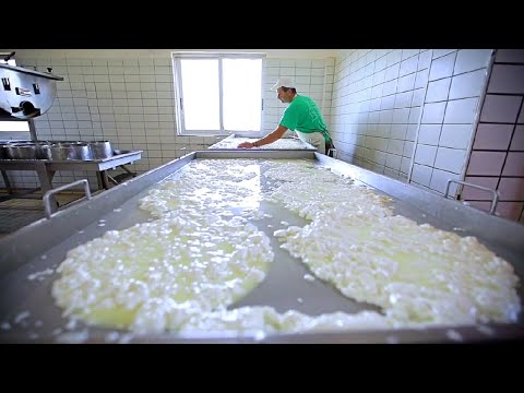 A Look INSIDE An Authentic Greek Cheese Factory