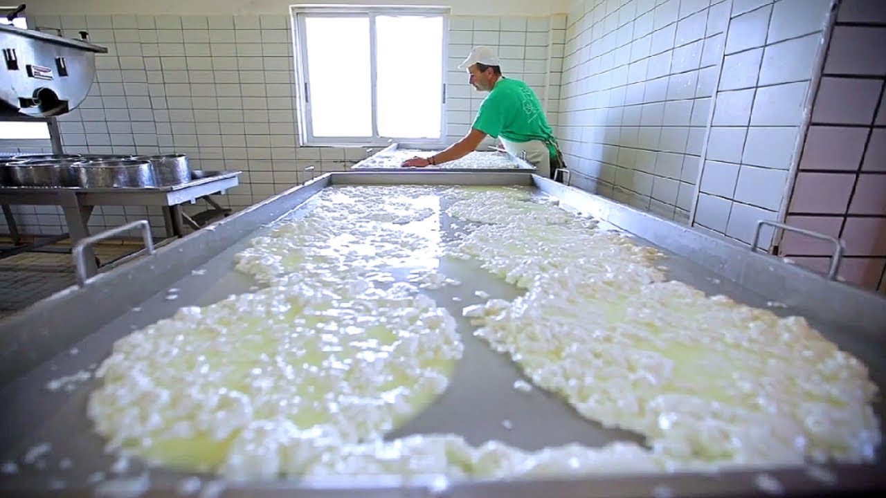 A Look INSIDE An Authentic Greek Cheese Factory