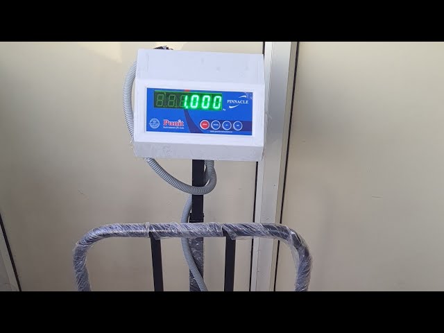 Platform Scale - Floor Weighing Scale Manufacturer from Ahmedabad