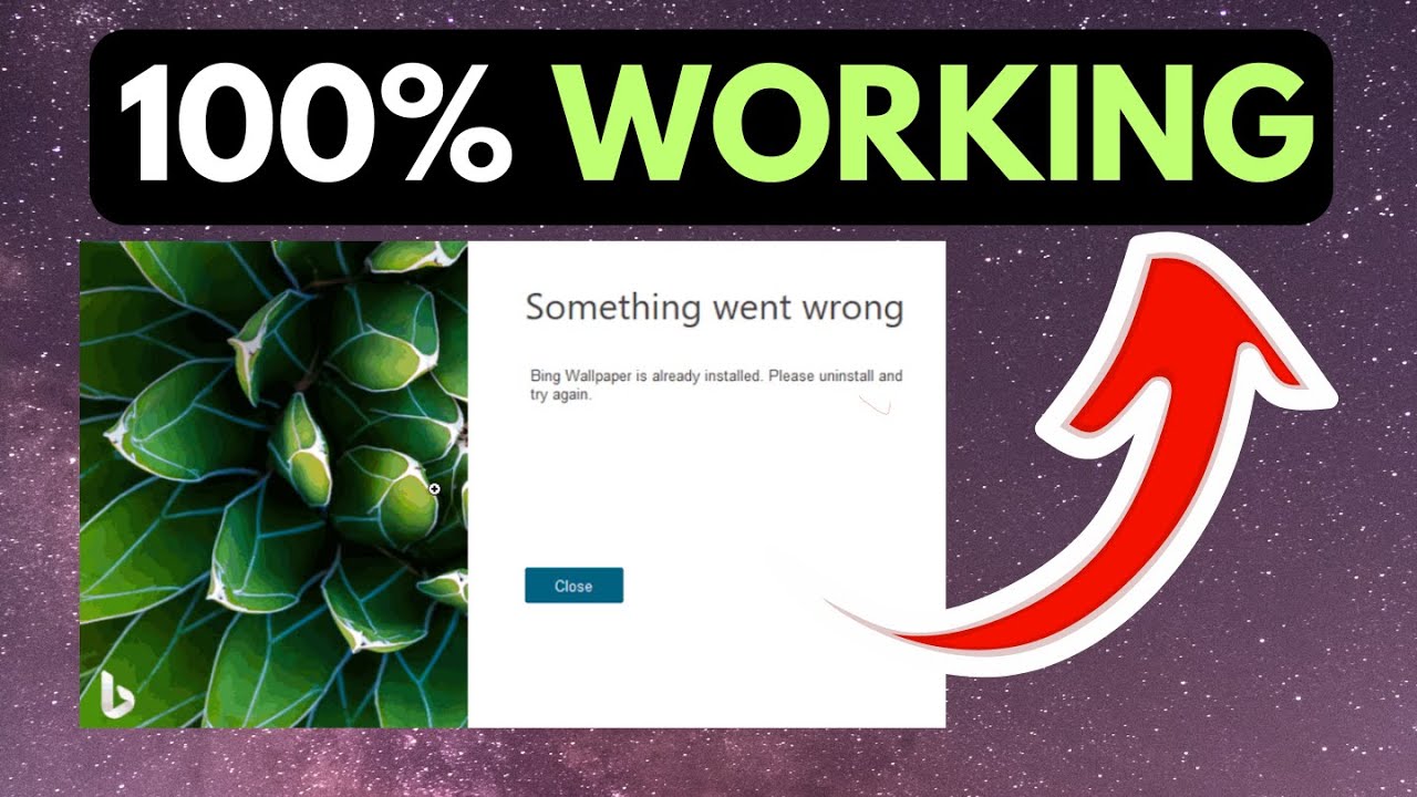 Bing Wallpaper App Not Working in Windows 11 RESOLVED