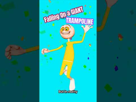 Could A Trampoline Catch You From A Plane? 😳