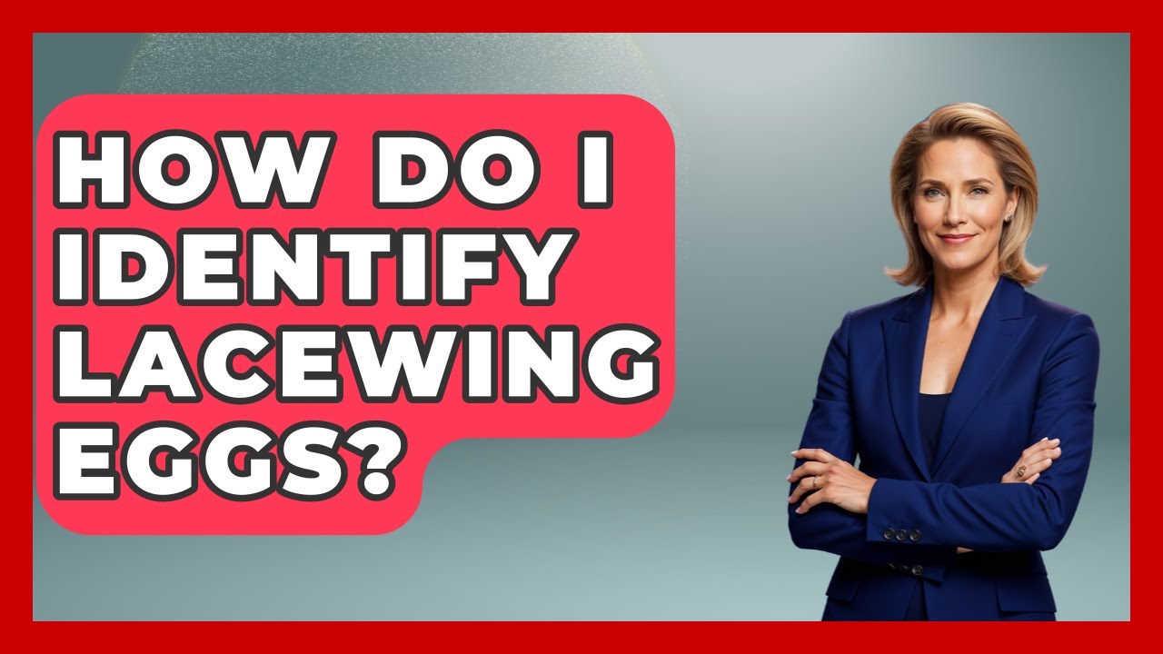 How Do I Identify Lacewing Eggs? - Insects and Invaders