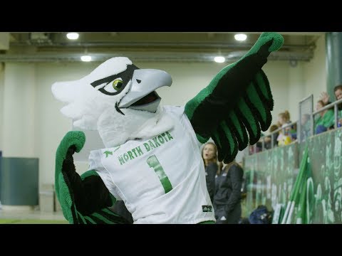 UND Fighting Hawk Mascot