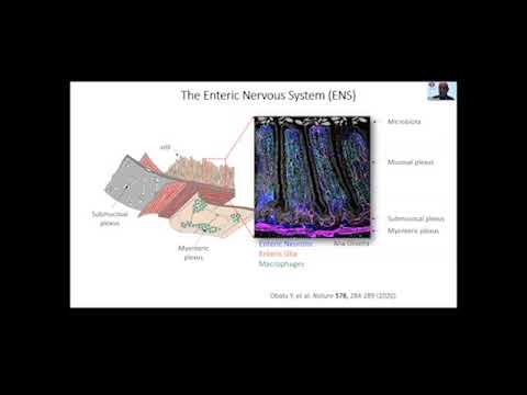 Basic Concepts in Neurogastroenterology: The Microbiome and ENS Development