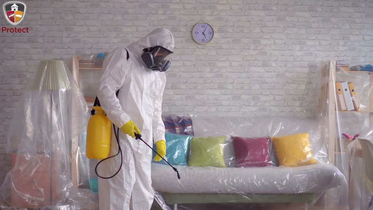 Best Pest Control Service BD | Guaranteed Termite Control | Bedbug Control | protectpestbd