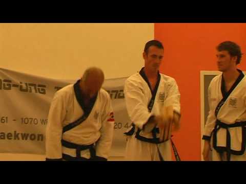 Young-Ung Taekwondo - Gruppenleiter Perchtoldsdorf